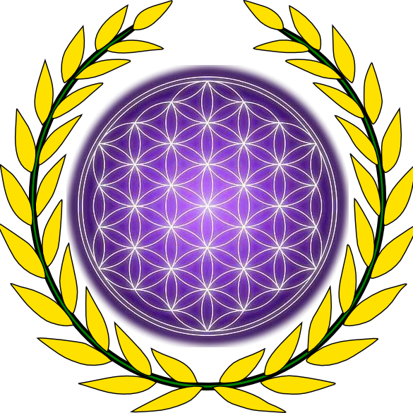 Chat with Universal Flow University